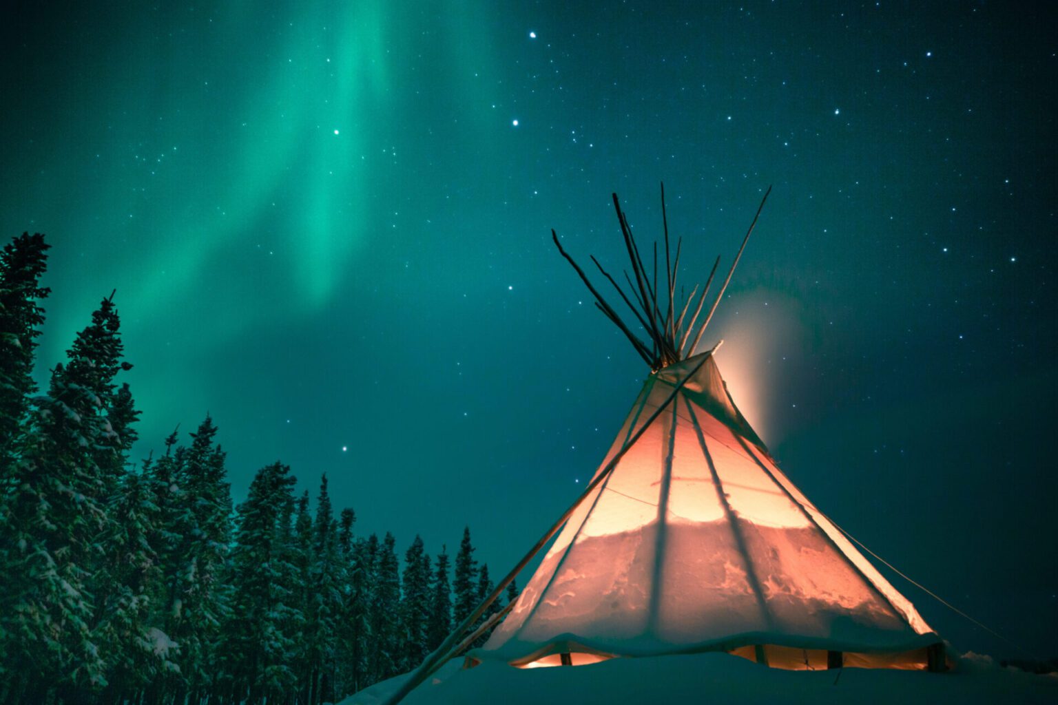 Collections - Thrive Voyager